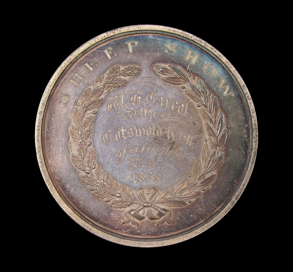 Ireland 1868 Royal Dublin Society 52mm Silver Medal – Coopers Coins