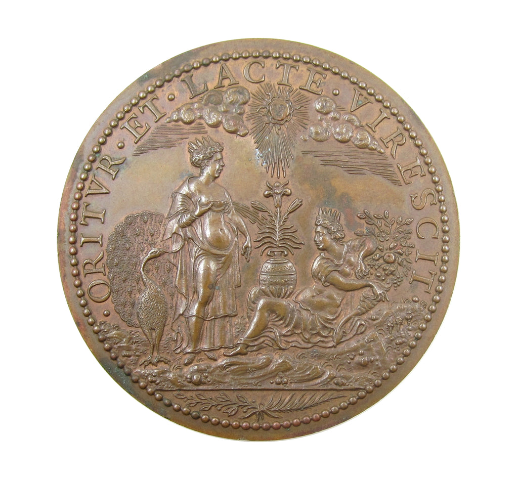 France 1602 Birth Of Louis XIII 56mm Bronze Medal – Coopers Coins