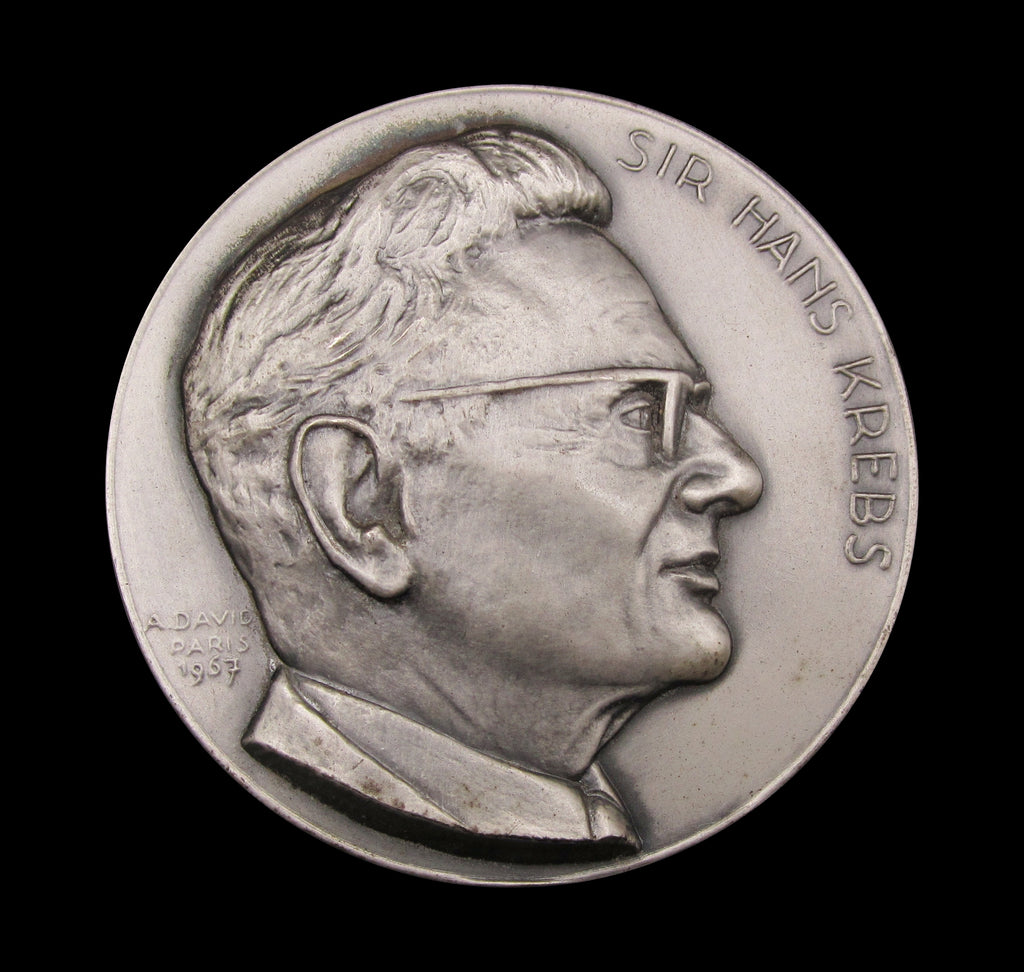 1980 Federation of European Biochemical Societies Hans Krebs 71mm Silv ...