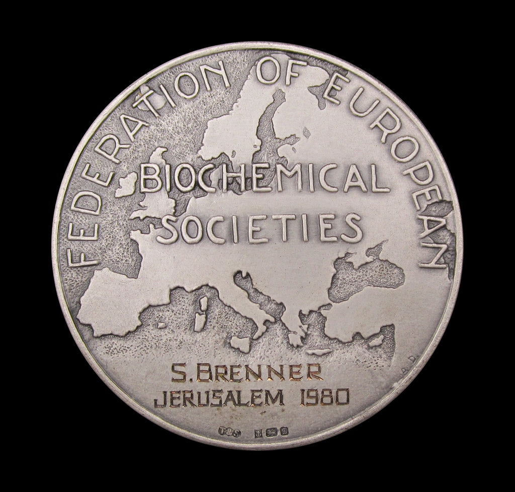 1980 Federation of European Biochemical Societies Hans Krebs 71mm Silv ...